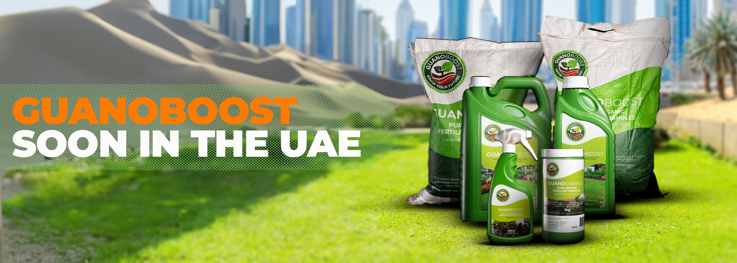 Guanoboost uae